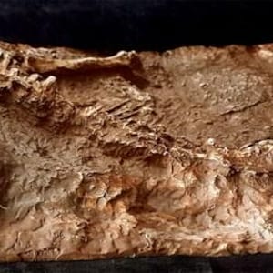 Nanosaurus Agilis Skeleton Fossil Cast Replica-dinosaurs-dinosaurs ...