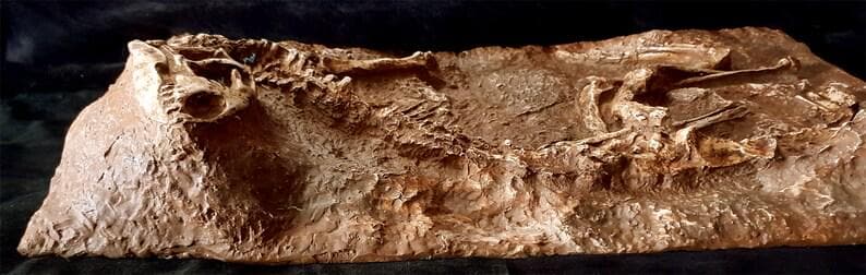 Nanosaurus Agilis Skeleton Fossil Cast Replica-dinosaurs-dinosaurs ...