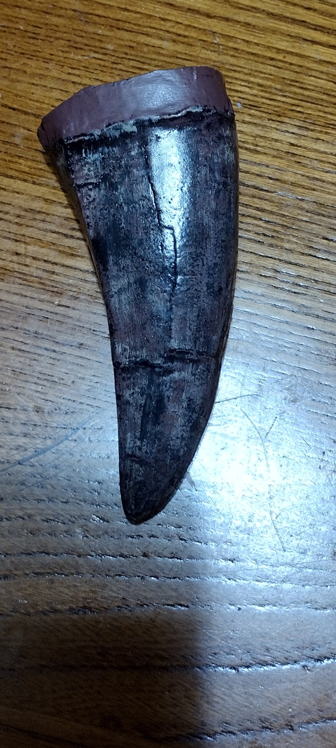 4" Tyrannosaurus Rex Maxillary Tooth Cast Replica-dinosaurs ...