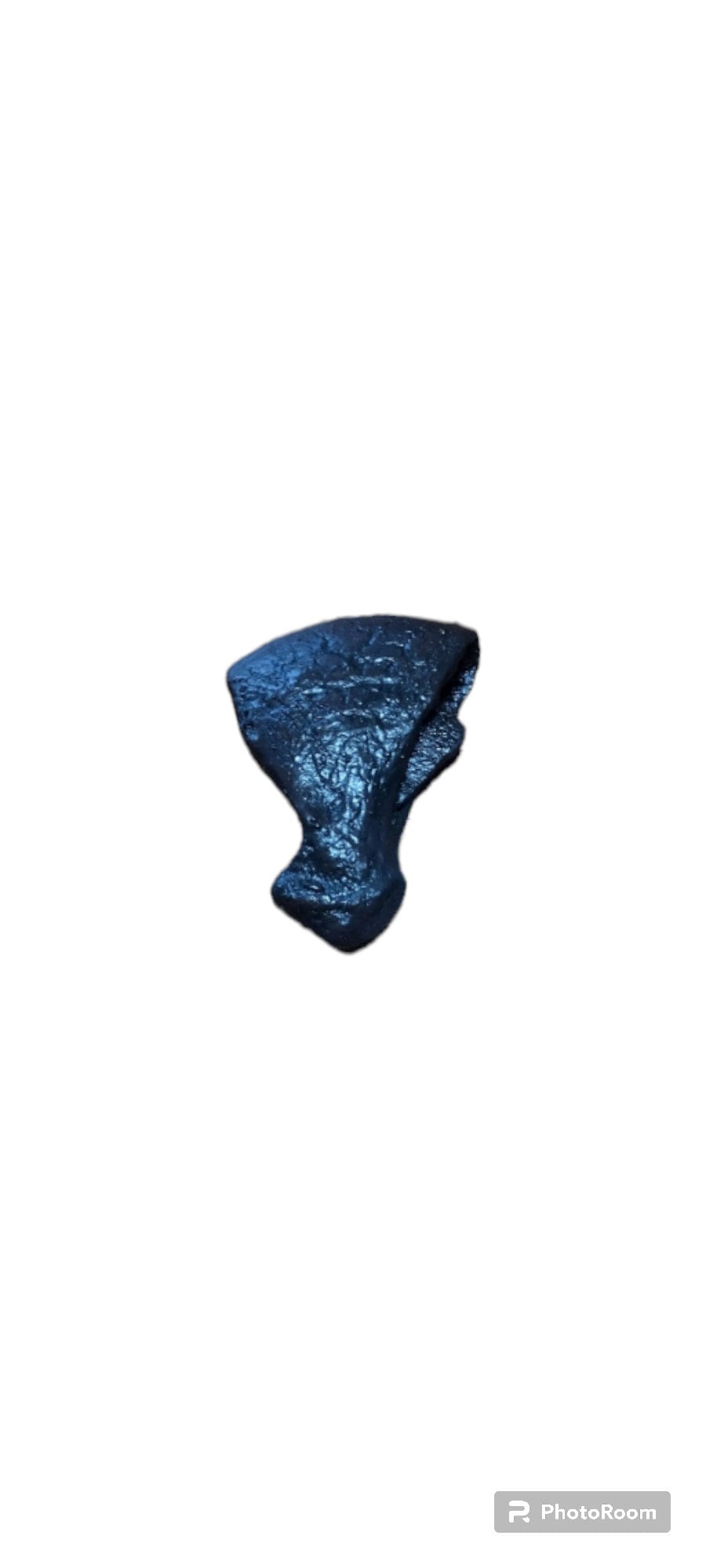 Smilodon Fatalis Canine and Claw ( Sabre Toothed Cat) - Etsy