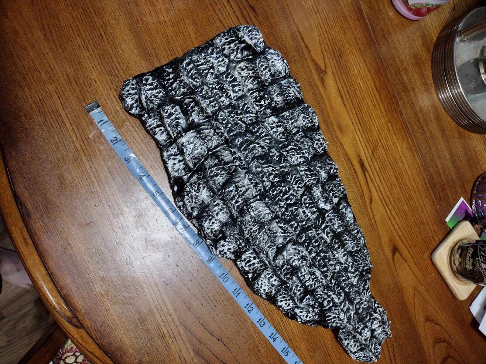 American Alligator (modern) Dermal Armor Scutes Cast Replica - Etsy