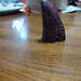 Tyrannosaurus Rex Tooth Fossil Cast Replica - Etsy