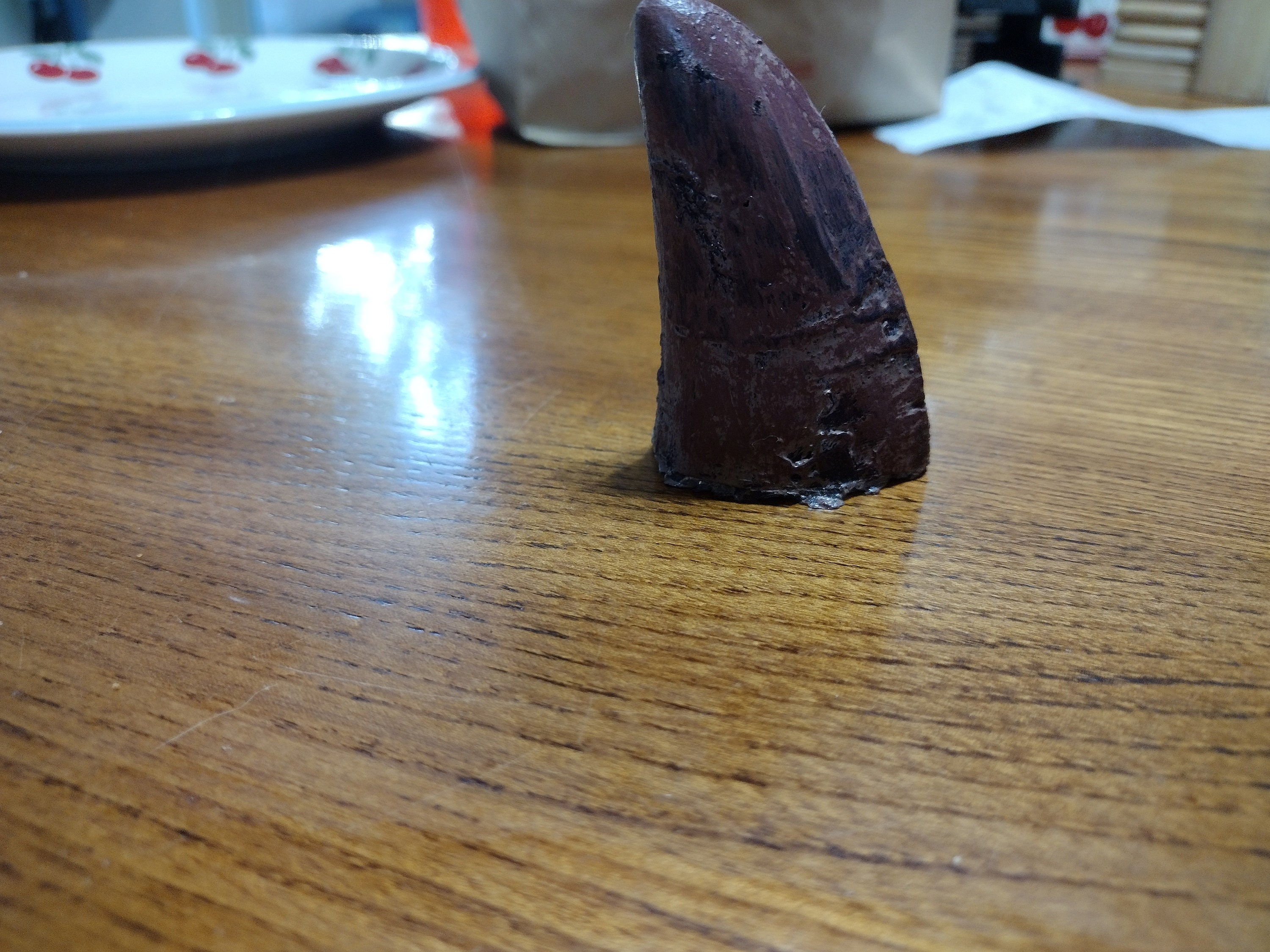 Tyrannosaurus Rex Tooth Fossil Cast Replica - Etsy