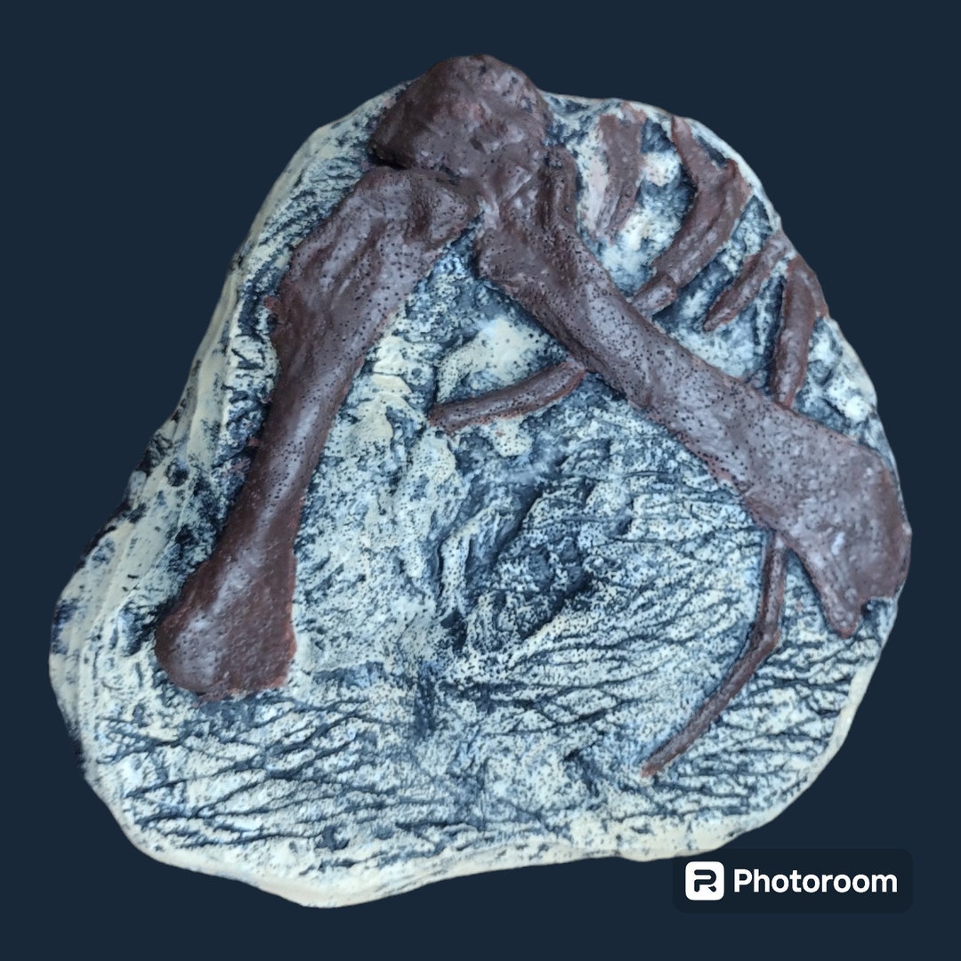Heterodontosaurus Tucki Scapulocaracoid,humerus, and Ribs From Left ...