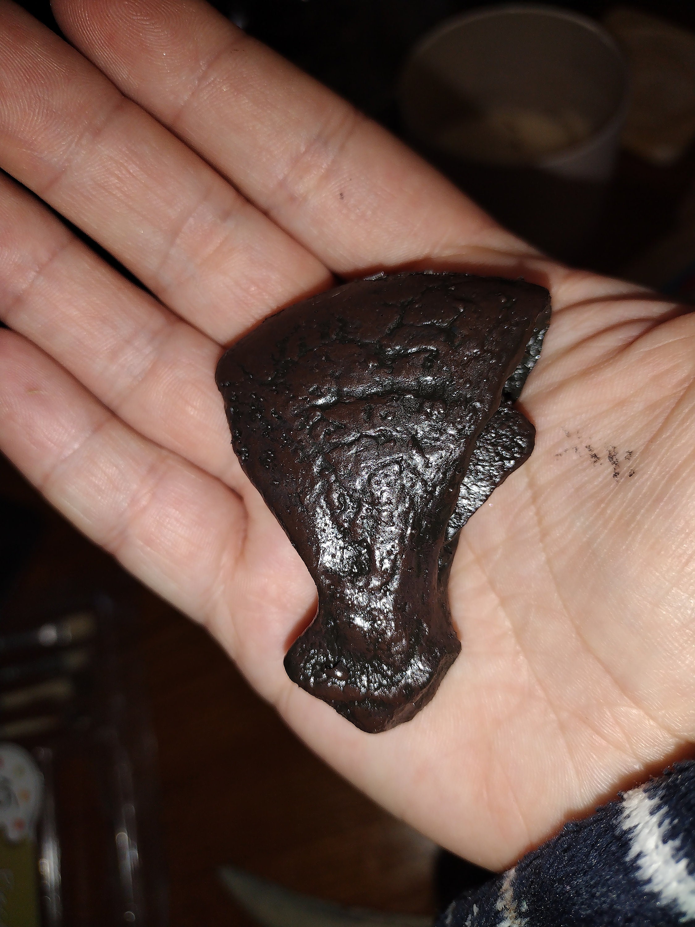 Smilodon Fatalis Canine and Claw ( Sabre Toothed Cat) - Etsy