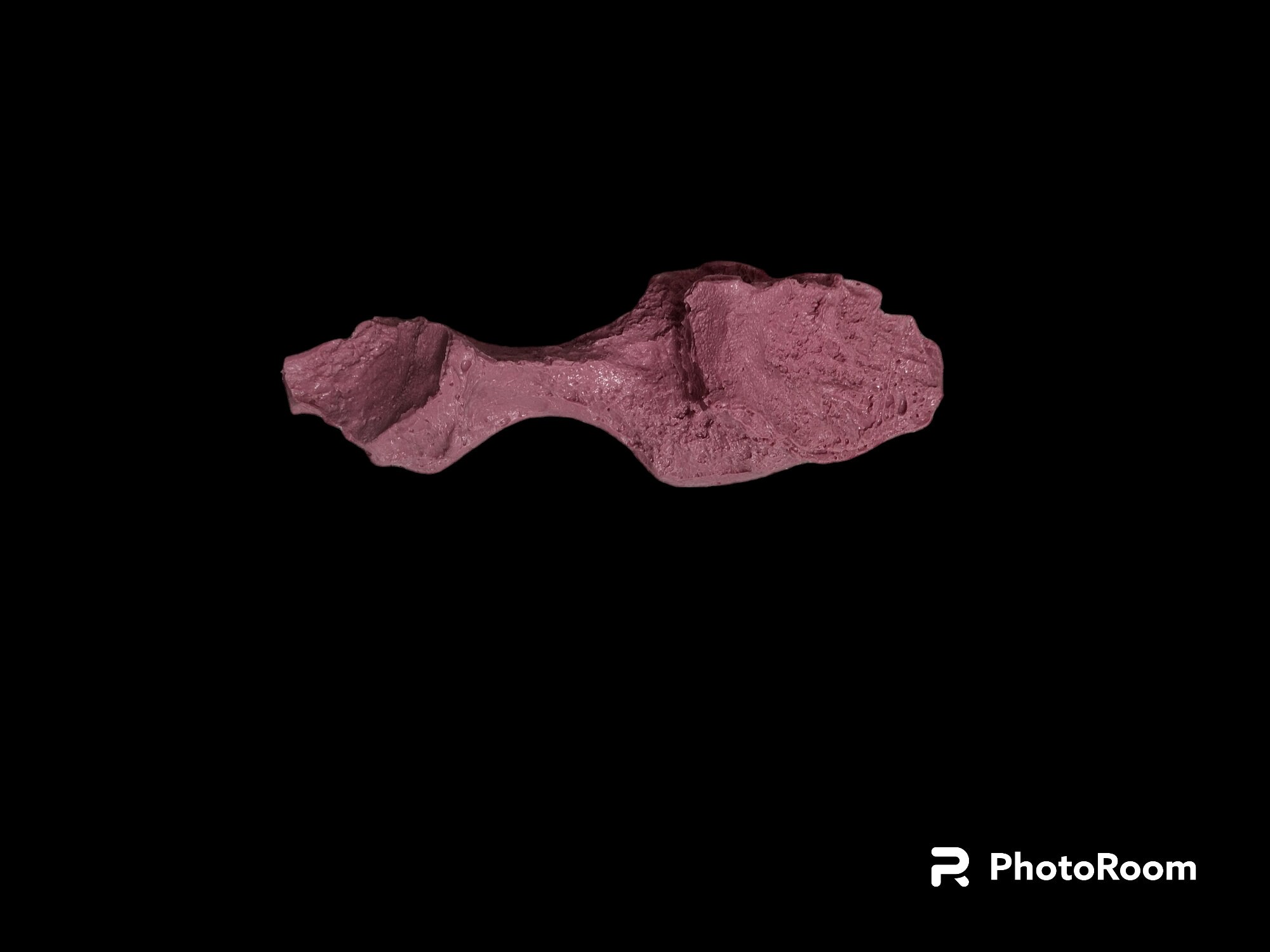 Tyrannosaurus Rex Brain Cast ( Cranial Endocast) Fossil Replica ...