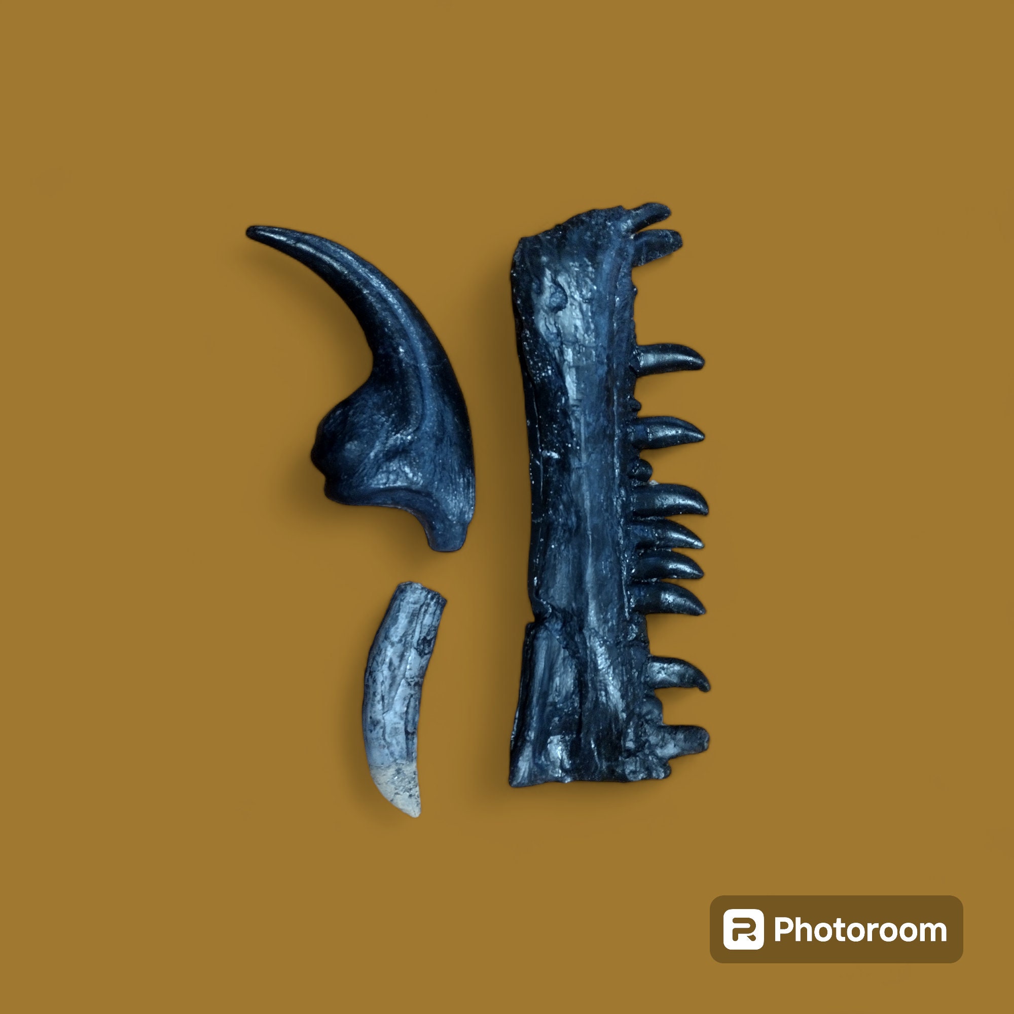 Allosaurus Crate- Allosaurus Fragilis Partial Dentary, Manual Claw, and ...