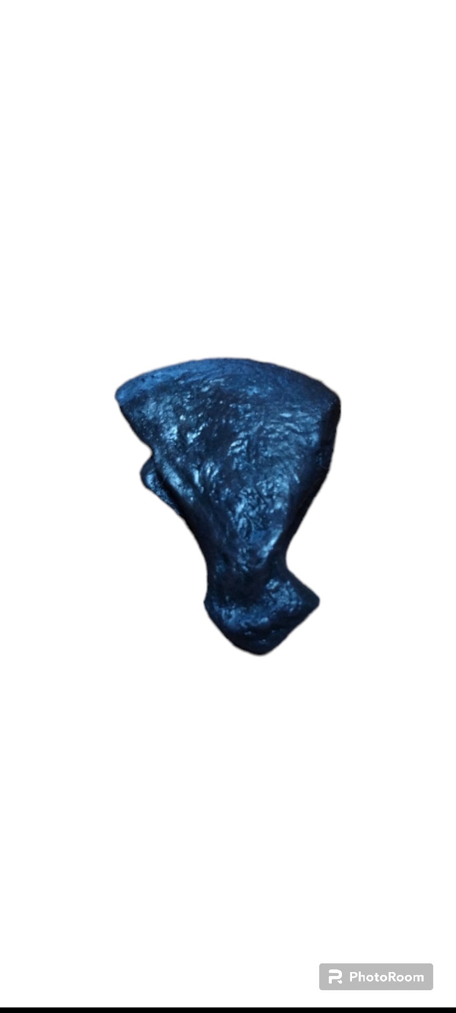 Smilodon Fatalis Canine and Claw ( Sabre Toothed Cat) - Etsy