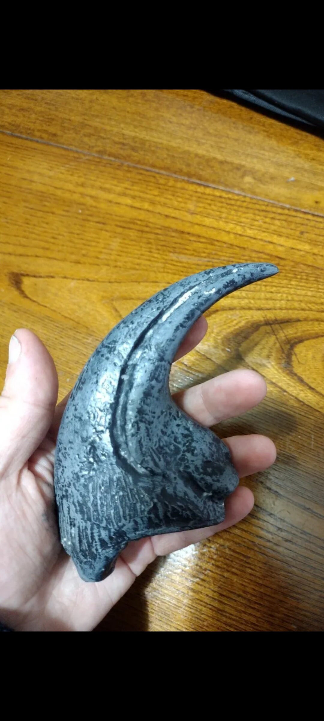 Replica Allosaurus Hand Claw