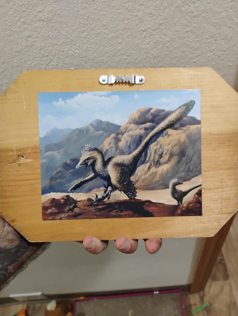 Velociraptor Mongoliensis Skull Fossil Cast Replica Plaque ( Museum ...