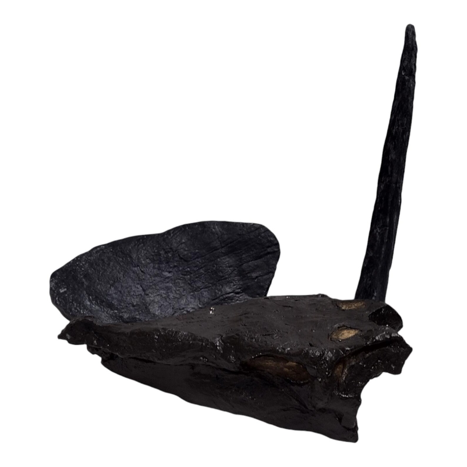 Stegosaurus Stenops ( Skull, Plate,tail Spike) Replica Set- Dinosaurs ...
