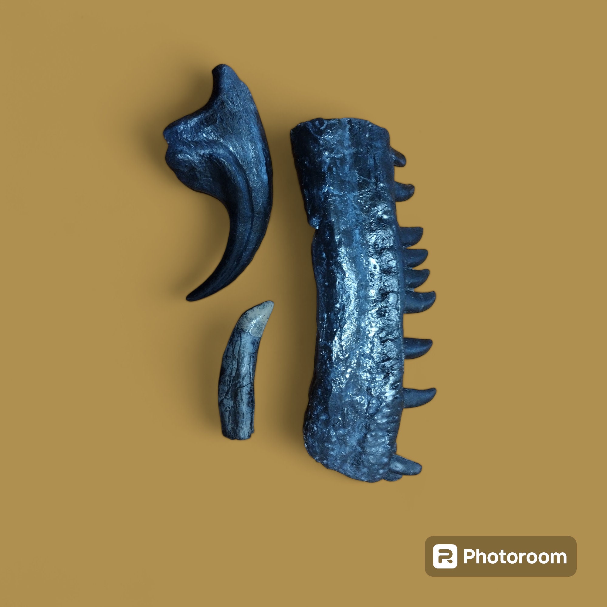 Allosaurus Crate- Allosaurus Fragilis Partial Dentary, Manual Claw, and ...