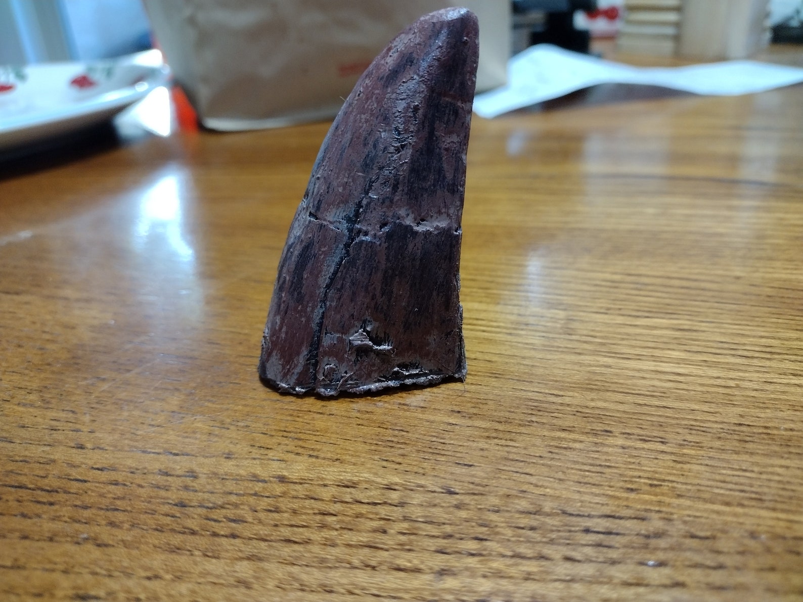 Tyrannosaurus Rex Tooth Fossil Cast Replica - Etsy