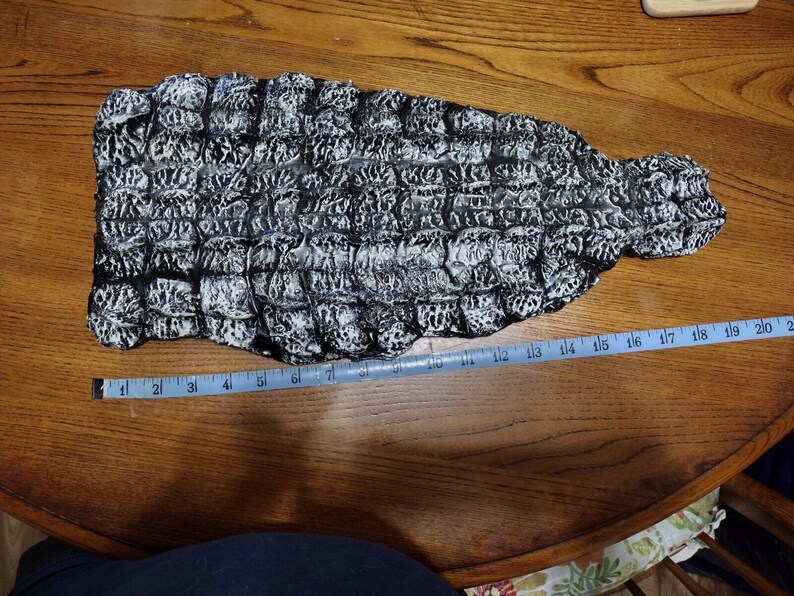 American Alligator (modern) Dermal Armor Scutes Cast Replica - Etsy