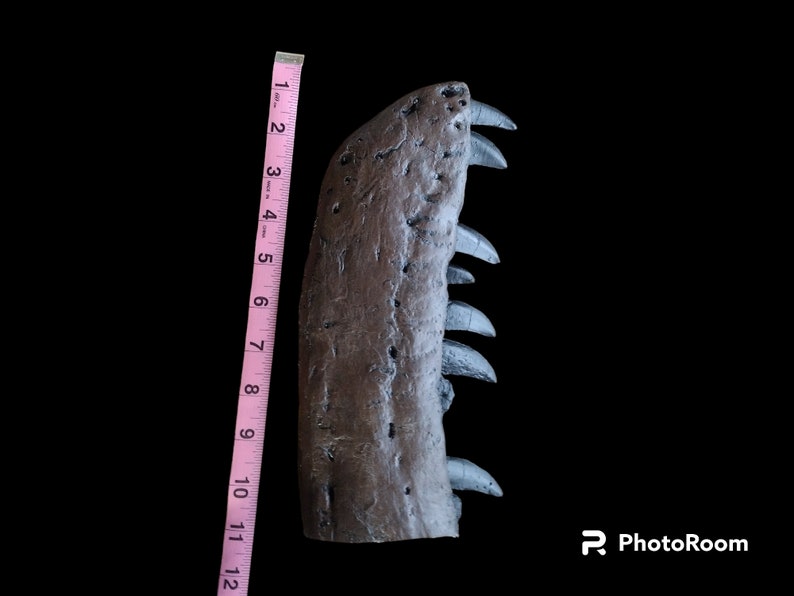 Albertosaurus Sarcophagus Left Dentary Tooth Row Fossil Replica Jaw ...