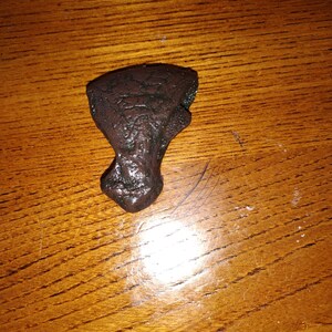 Smilodon Fatalis Canine and Claw Sabre Toothed Cat - Etsy