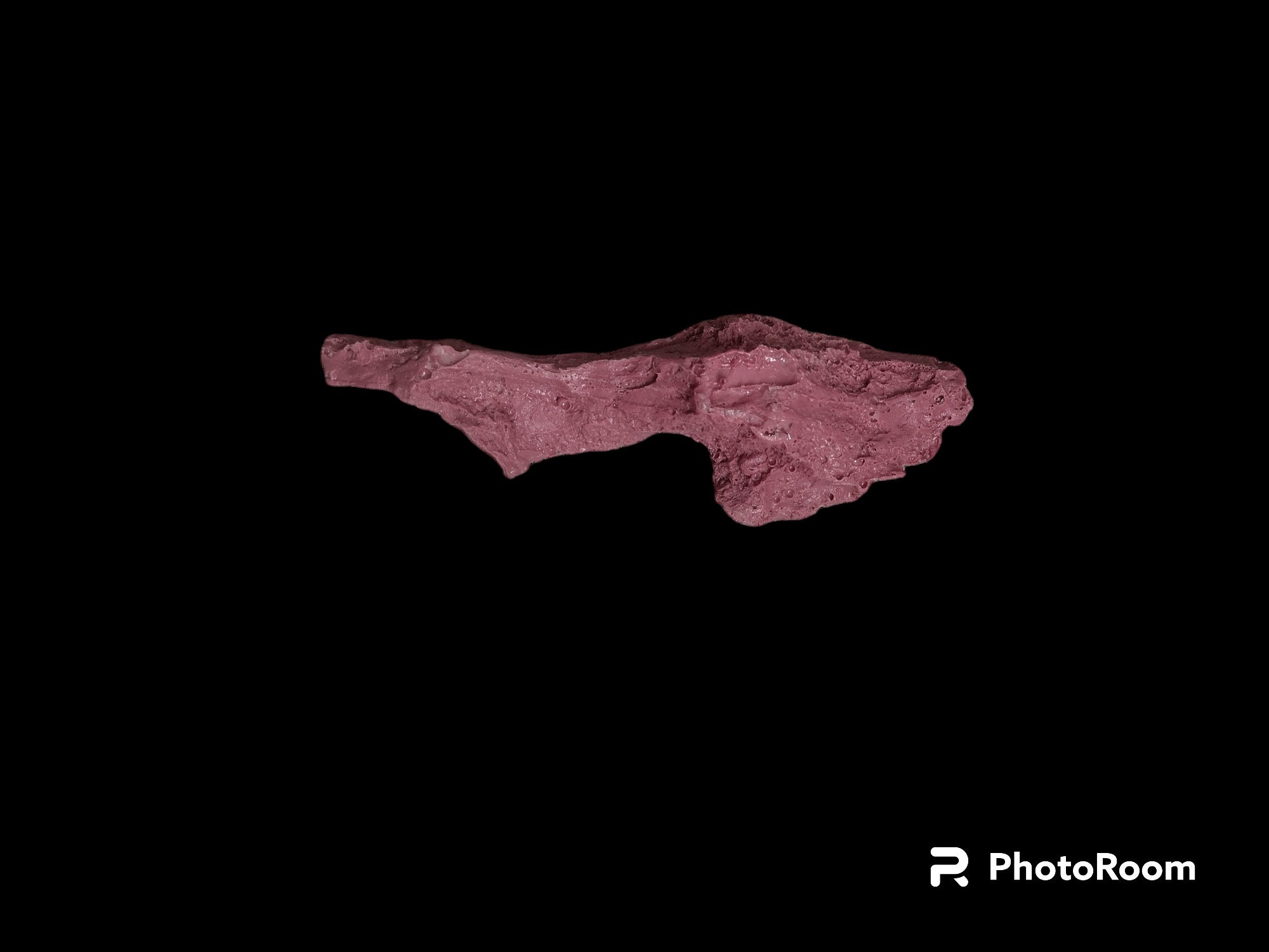 Tyrannosaurus Rex Brain Cast Cranial Endocast Fossil Replica Dinosaurs ...