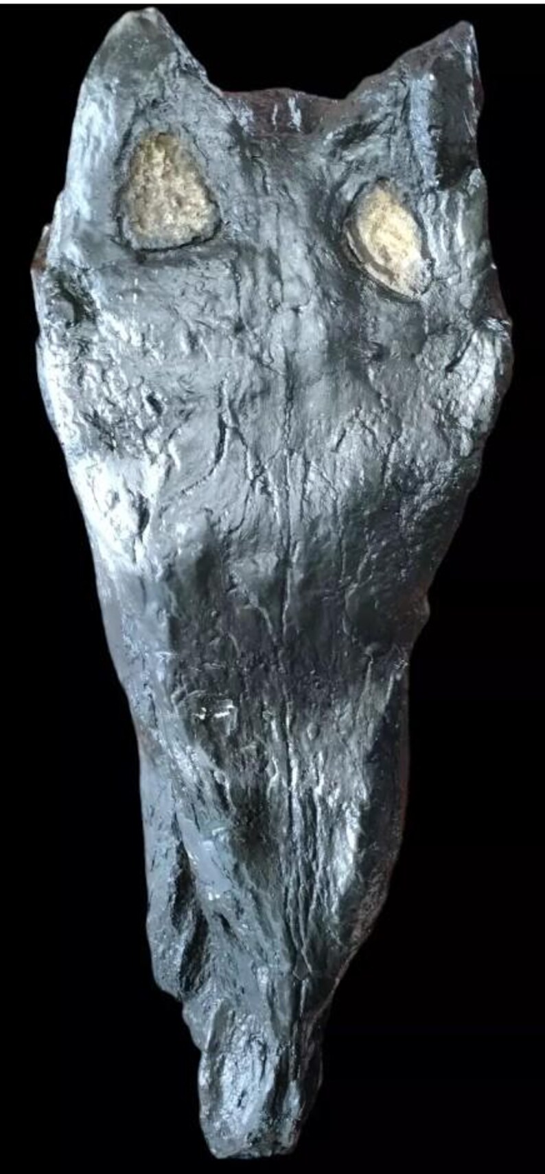 Stegosaurus Stenops Skull Fossil Cast Replica- Dinosaurs- Paleontology ...