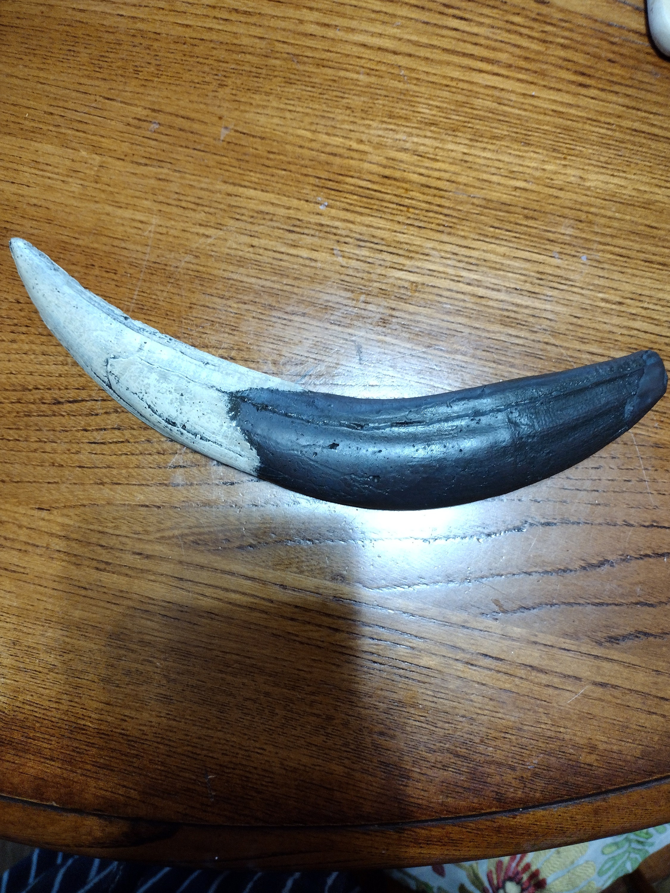 Smilodon Fatalis Canine and Claw Sabre Toothed Cat - Etsy