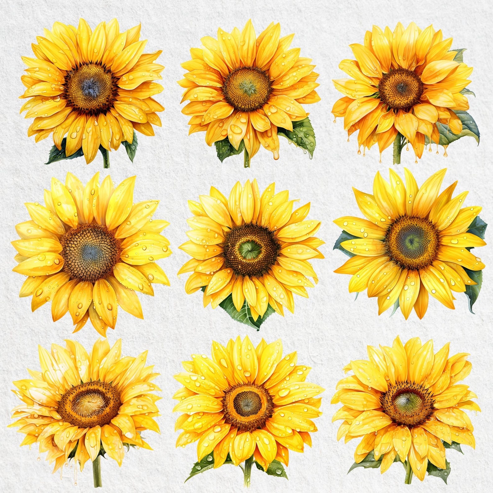Watercolor Sunflower Clipart PNG Bundle, Sunflower Bouquets Clipart ...