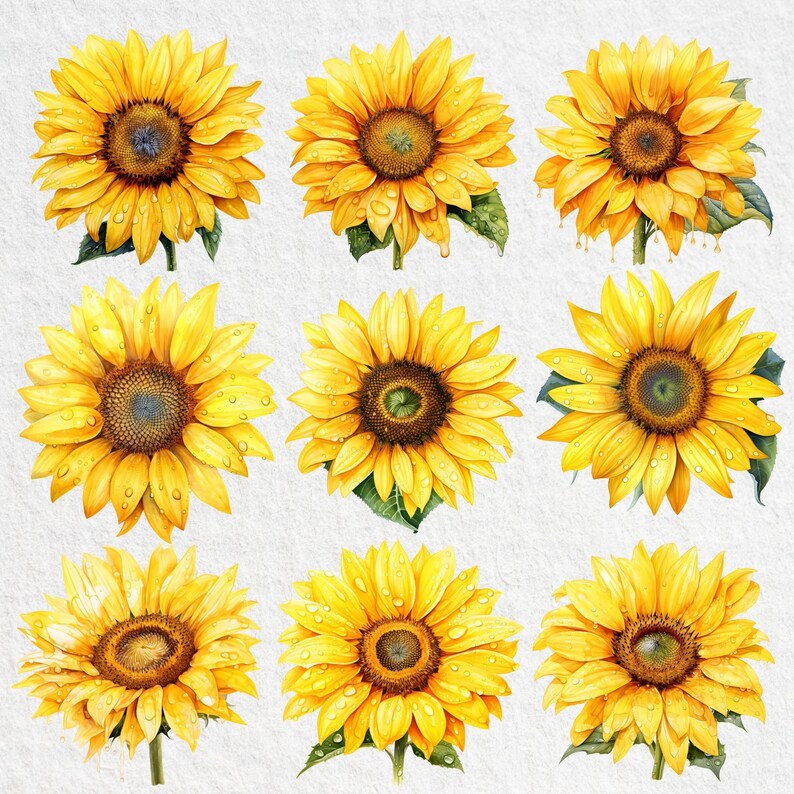 Watercolor Sunflower Clipart PNG Bundle, Sunflower Bouquets Clipart ...
