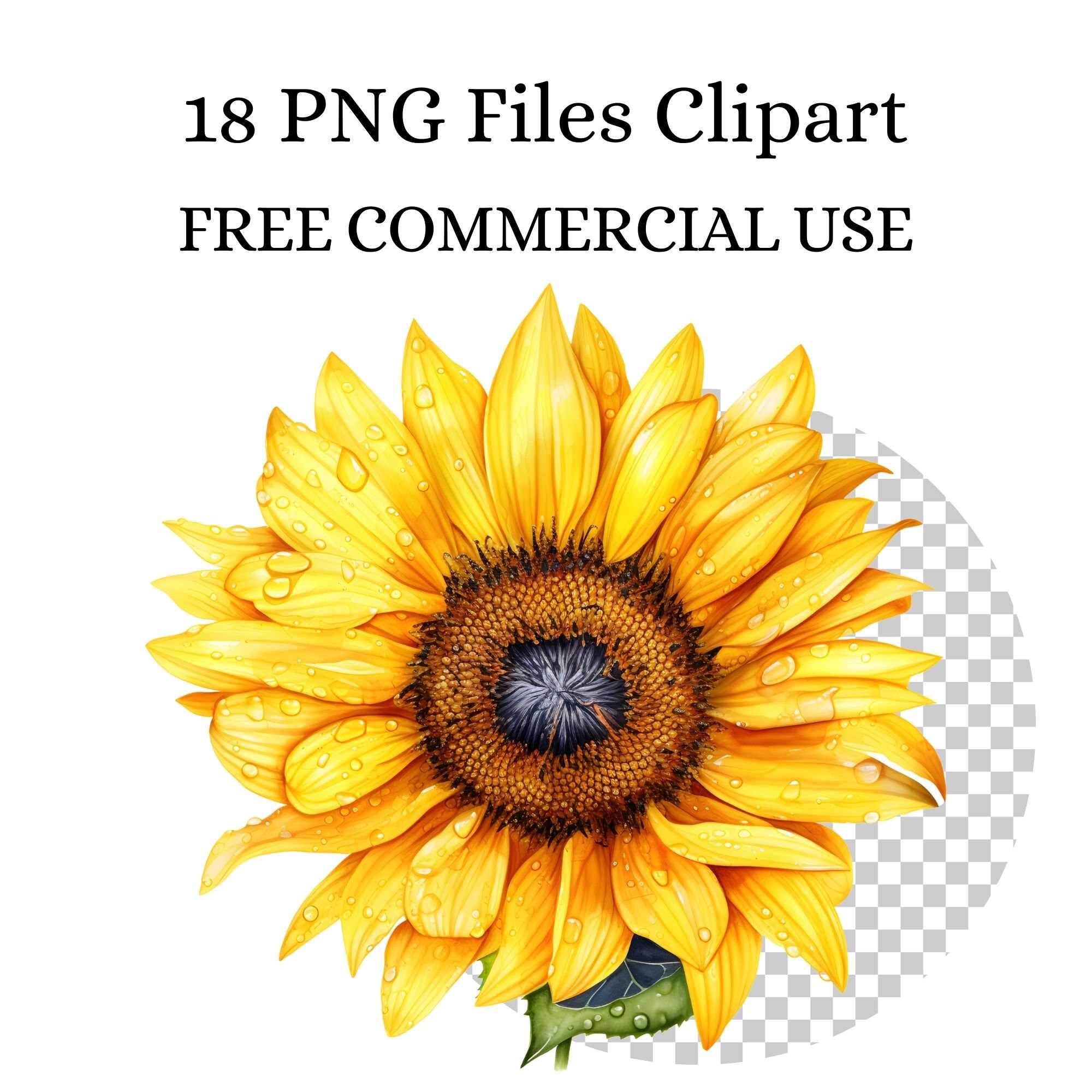 Watercolor Sunflower Clipart PNG Bundle, Sunflower Bouquets Clipart ...
