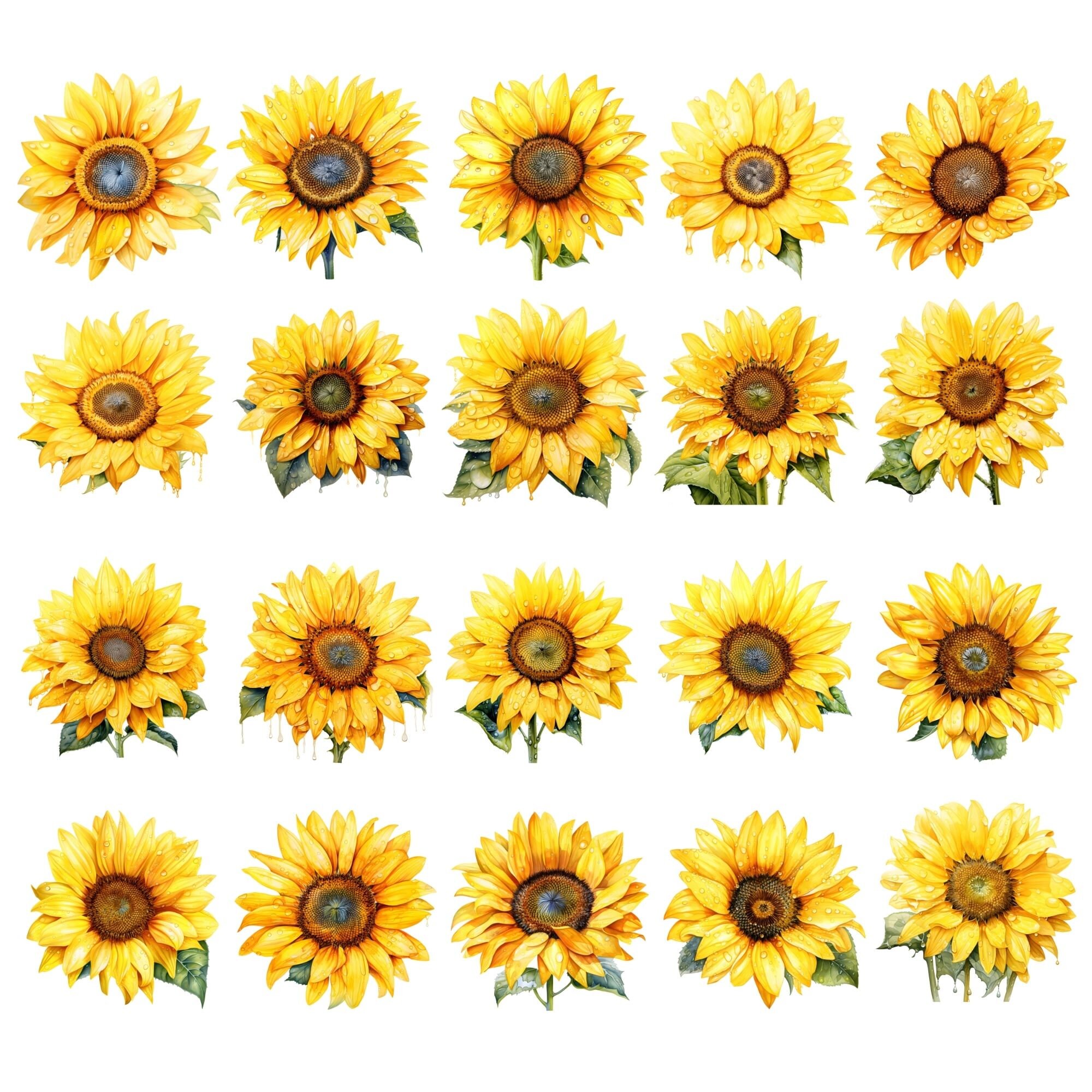 Watercolor Sunflowers Clipart PNG Bundle, Sunflower Bouquets Clipart ...