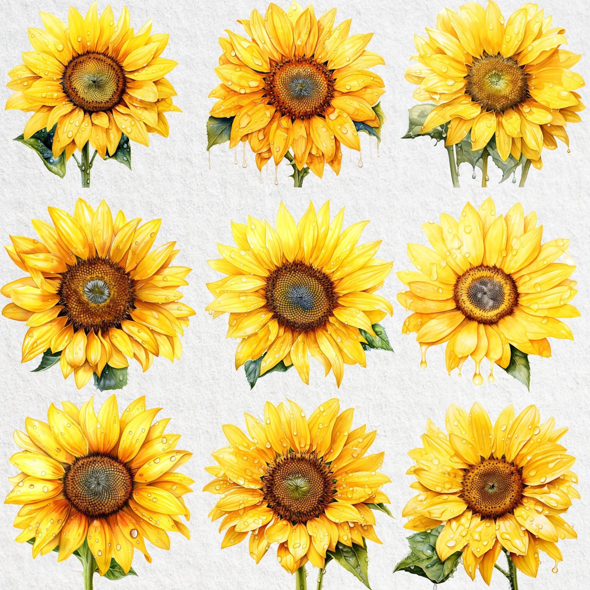 Watercolor Sunflowers Clipart PNG Bundle, Sunflower Bouquets Clipart ...