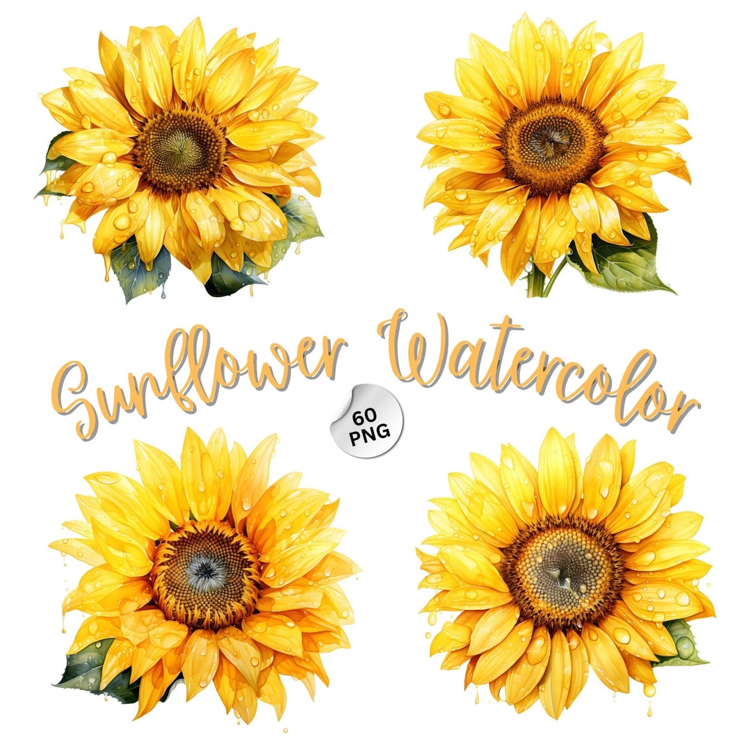 Watercolor Sunflowers Clipart PNG Bundle, Sunflower Bouquets Clipart ...
