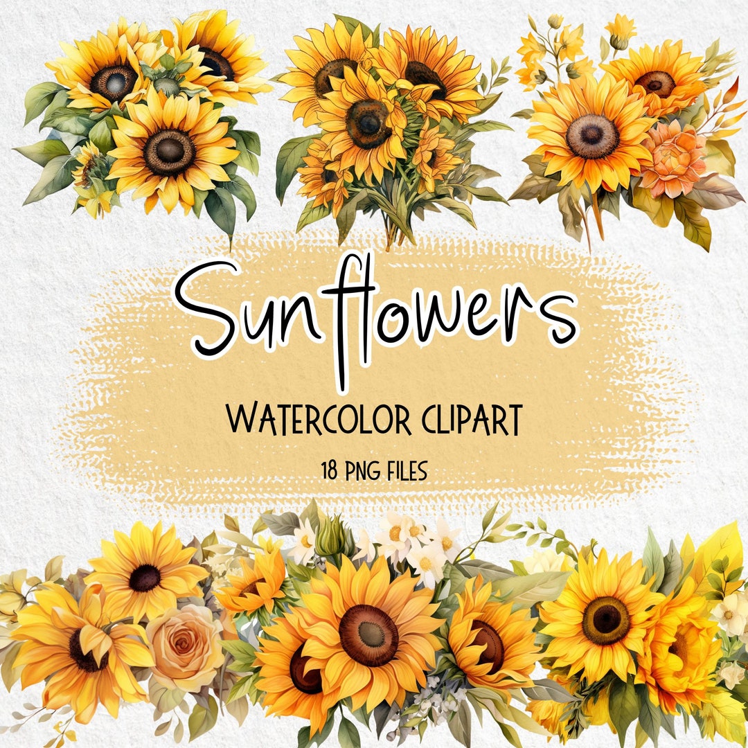 Watercolor Sunflowers Clipart PNG Bundle, Sunflower Bouquets Clipart ...