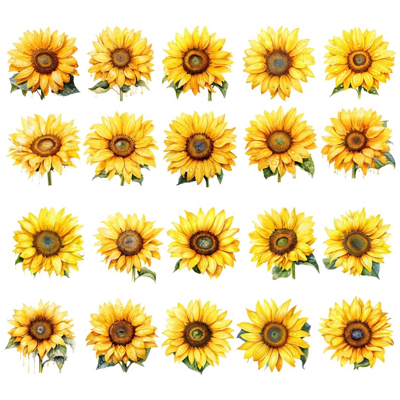 Watercolor Sunflowers Clipart PNG Bundle, Sunflower Bouquets Clipart ...