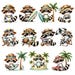 Watercolor Raccoon Clipart: Summer Beach Vacation PNG (digital Download ...