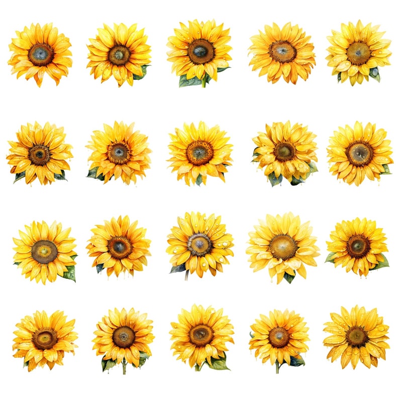 Watercolor Sunflowers Clipart PNG Bundle, Sunflower Bouquets Clipart ...