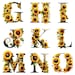 Sunflower Alphabet Clipart, Watercolor Floral Alphabet, Sunflower Font ...
