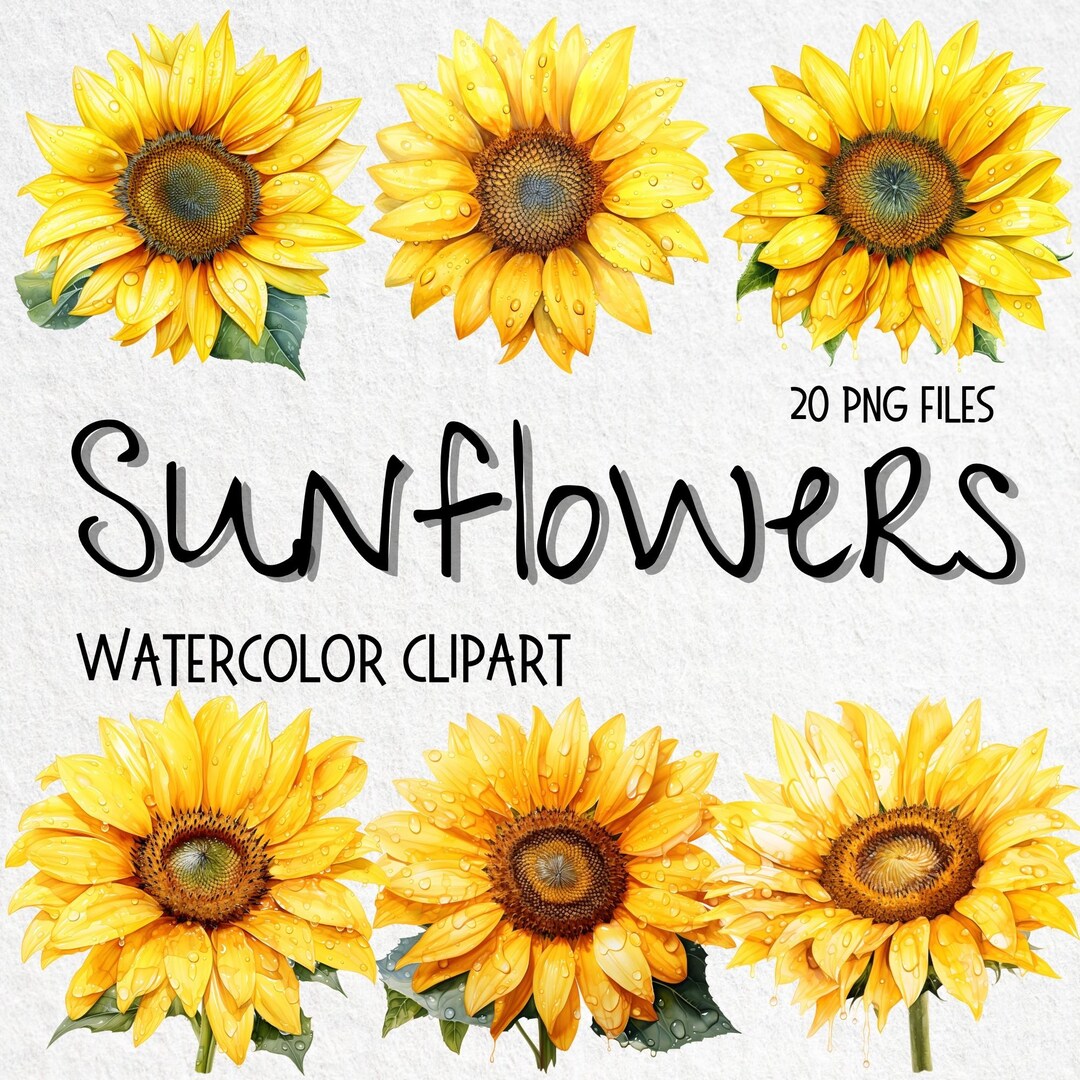 Watercolor Sunflower Clipart PNG Bundle, Sunflower Bouquets Clipart ...