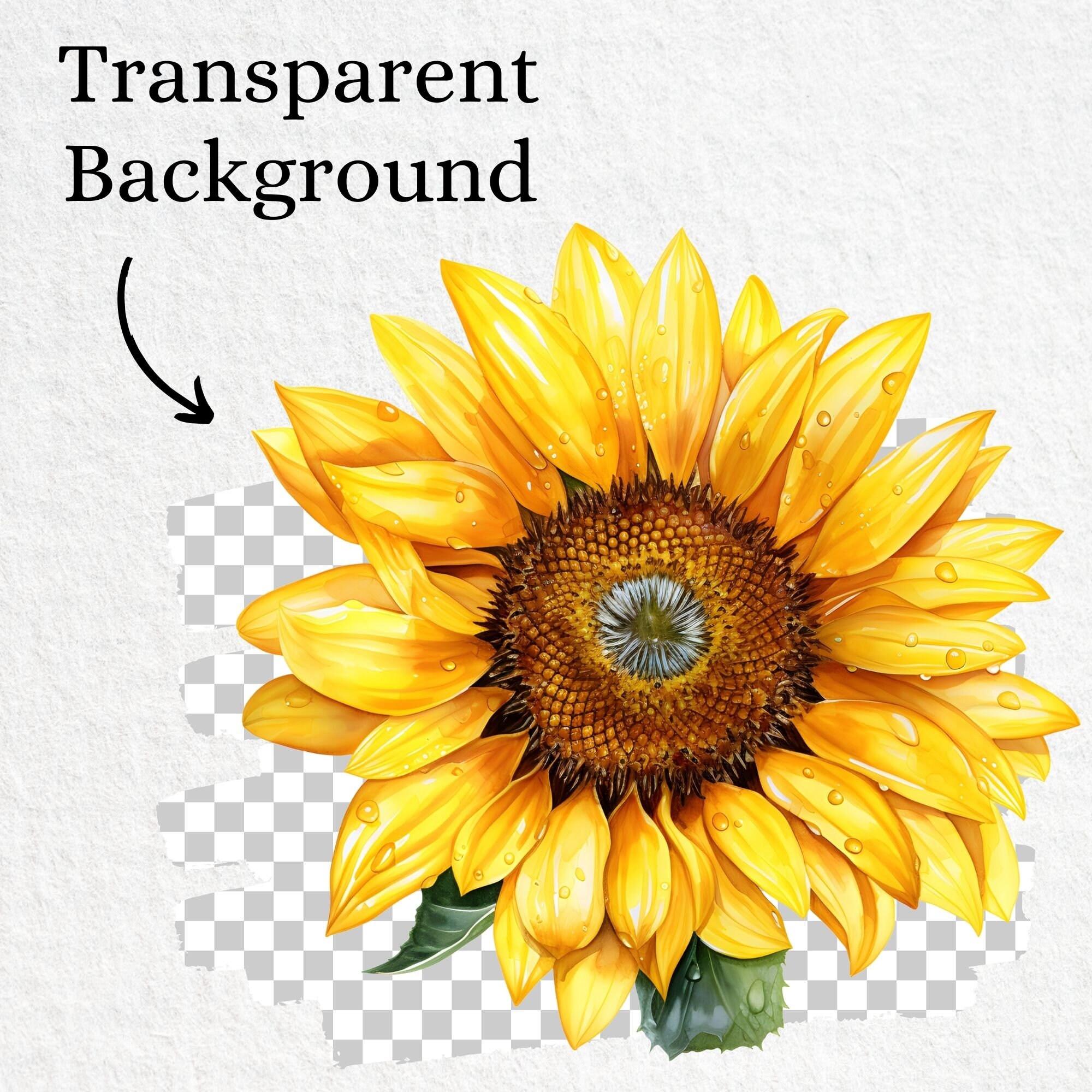 Watercolor Sunflowers Clipart PNG Bundle, Sunflower Bouquets Clipart ...