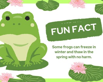 Printable Animal Themed Lunch Box Facts for Kids Fun Facts - Etsy