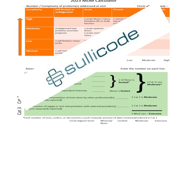 2023 Evaluation and Management Cheat Sheet - Etsy
