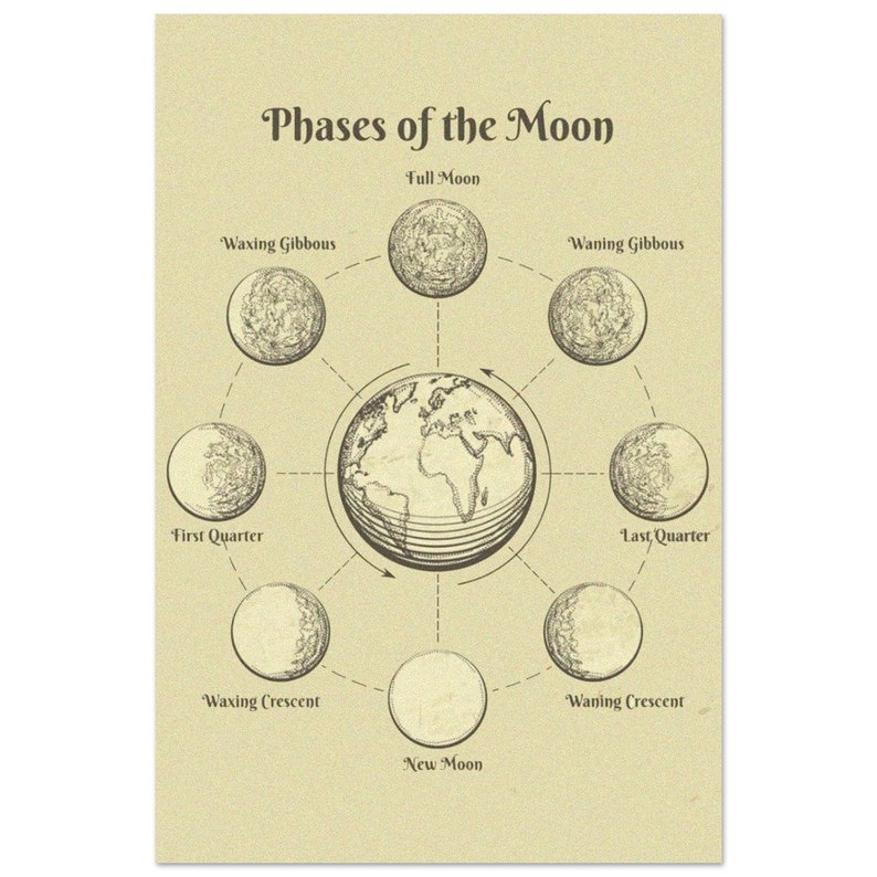Phases of the Moon (vintage Poster) - Etsy