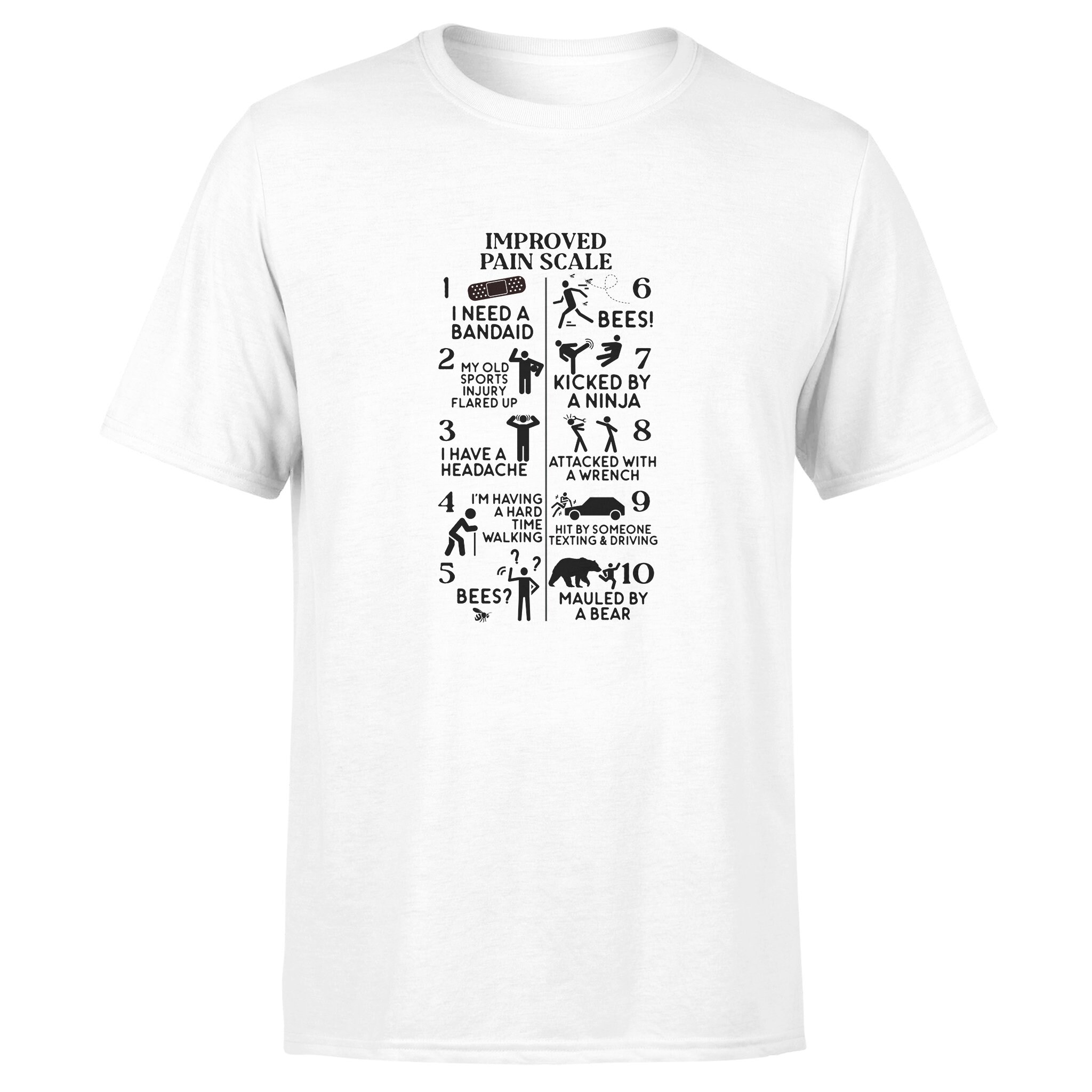 Revised Pain Scale T-shirt, Physical Therapy Meme Tshirt, PT Grad Meme ...