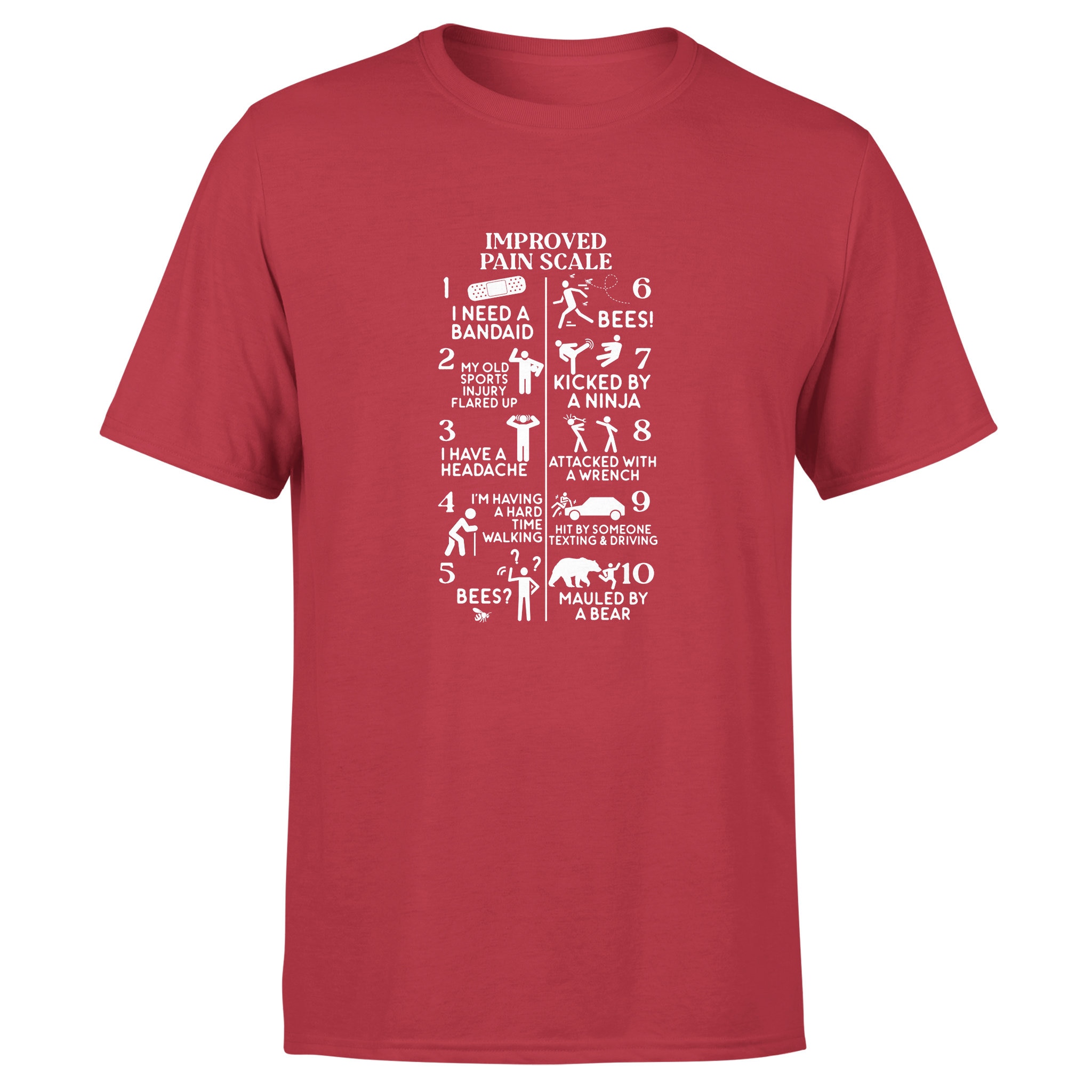 Revised Pain Scale T-shirt, Physical Therapy Meme Tshirt, PT Grad Meme ...