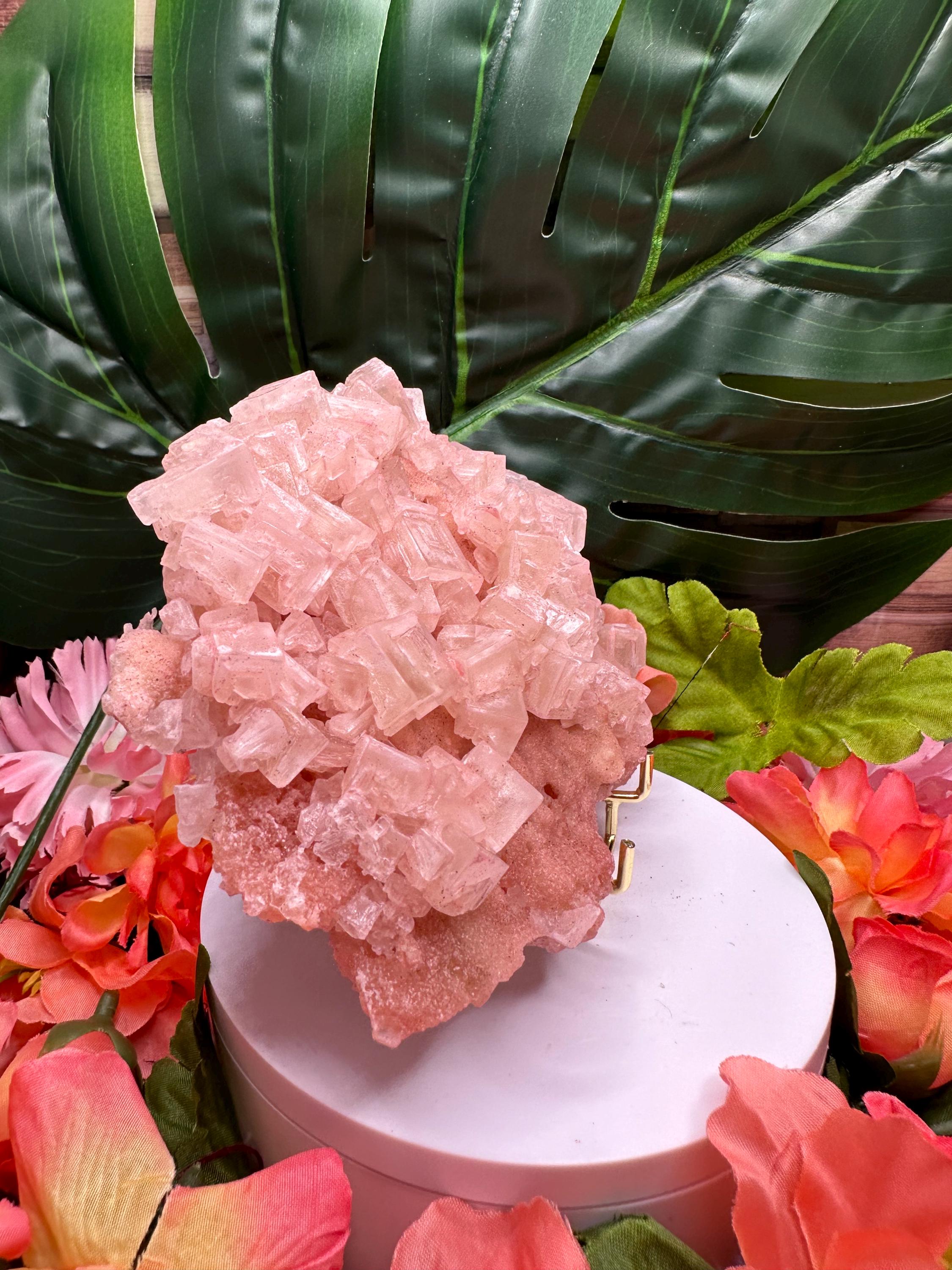 Stunning Huge Pink Halite - Etsy