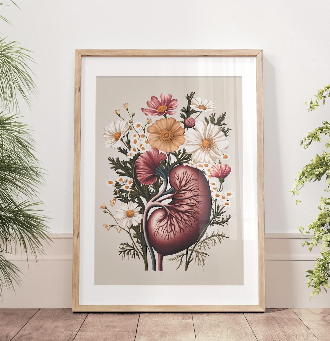 Botanisches Nieren Poster - Vintage Anatomie Poster, Druckfertige ...