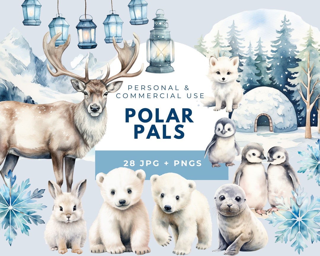Arctic Animals Watercolor Clipart. Polar Bear & Penguin and More ...