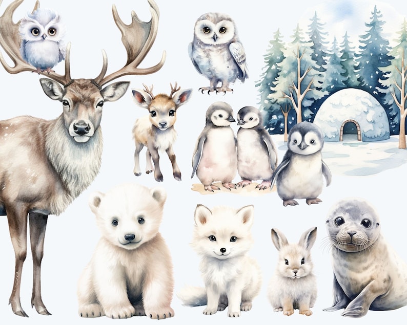 Arctic Animals Watercolor Clipart. Polar Bear & Penguin and More ...