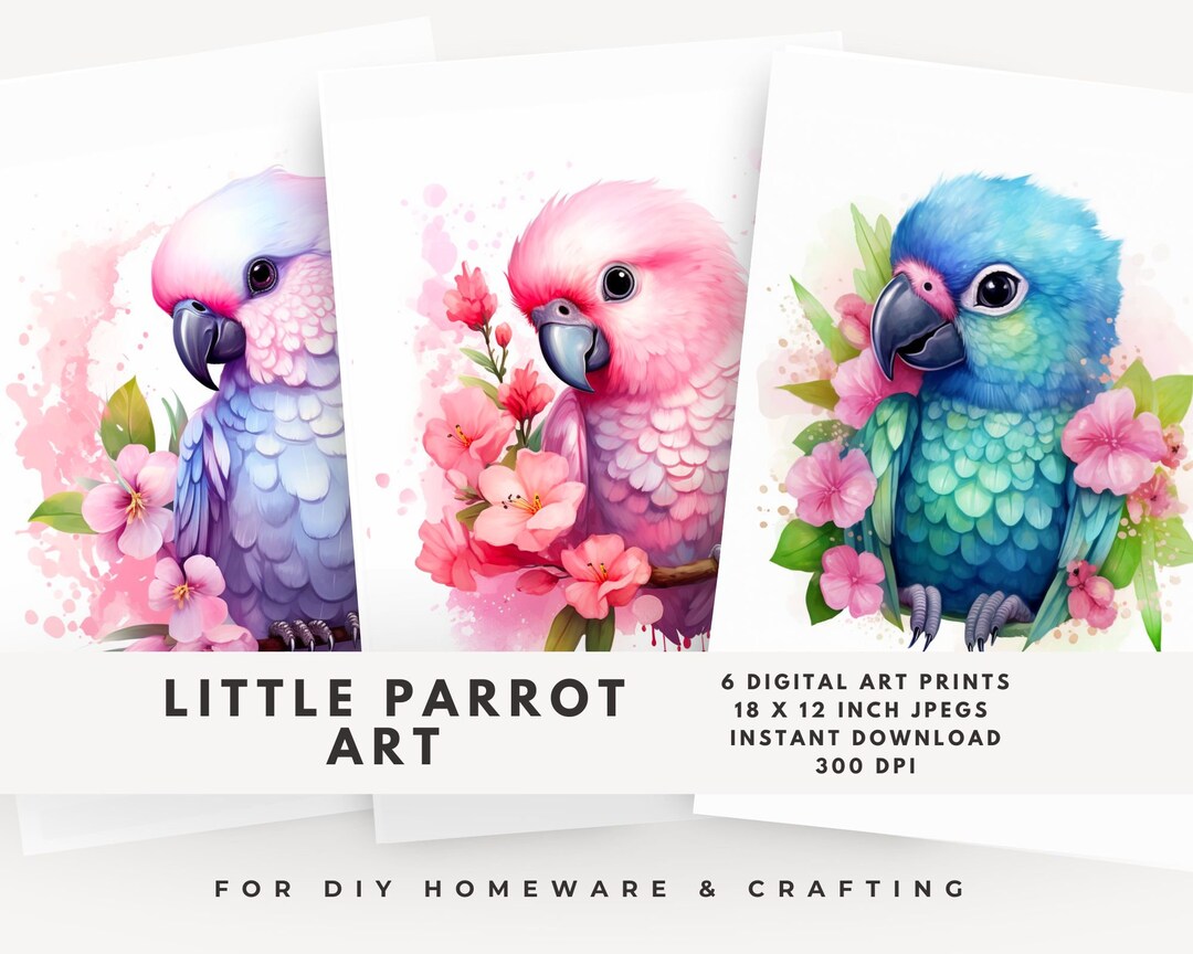 Parrots Prints, Commercial Use, Animal Prints, Parrot Art, Safari ...