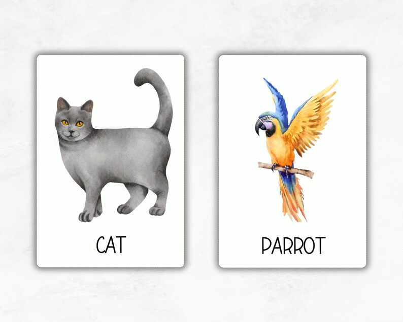 Pet Flashcards 16 Printable Flashcards Animal Flashcards Printable ...