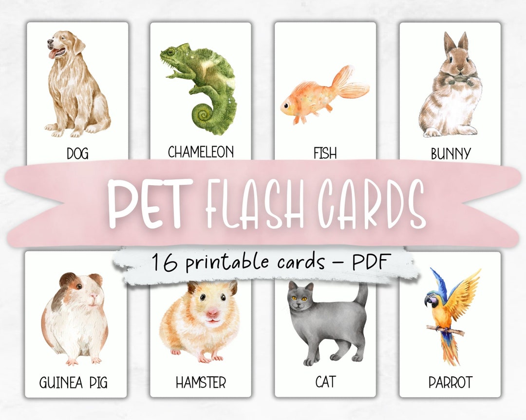 Pet Flashcards 16 Printable Flashcards Animal Flashcards Printable ...