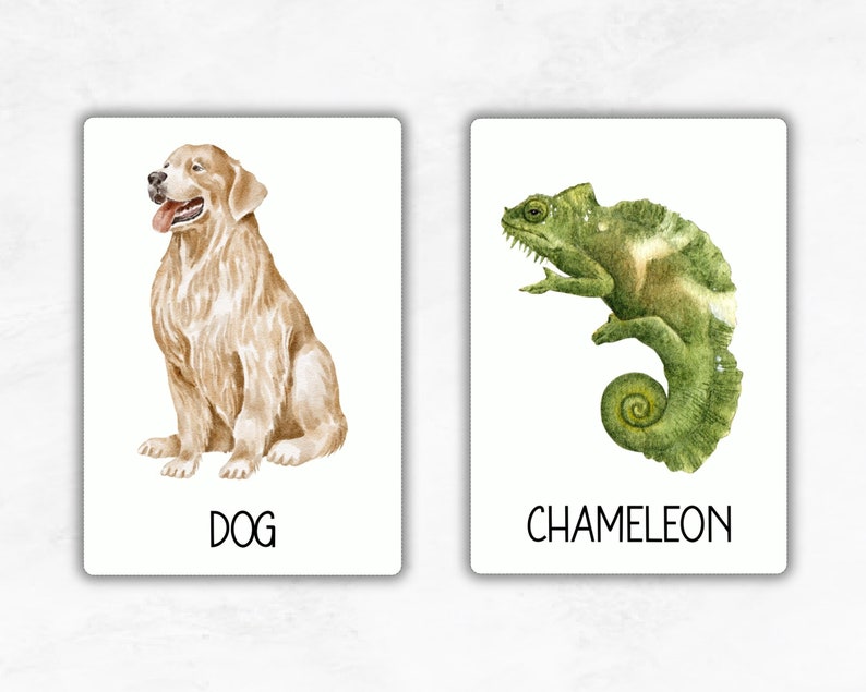 Pet Flashcards 16 Printable Flashcards Animal Flashcards Printable ...