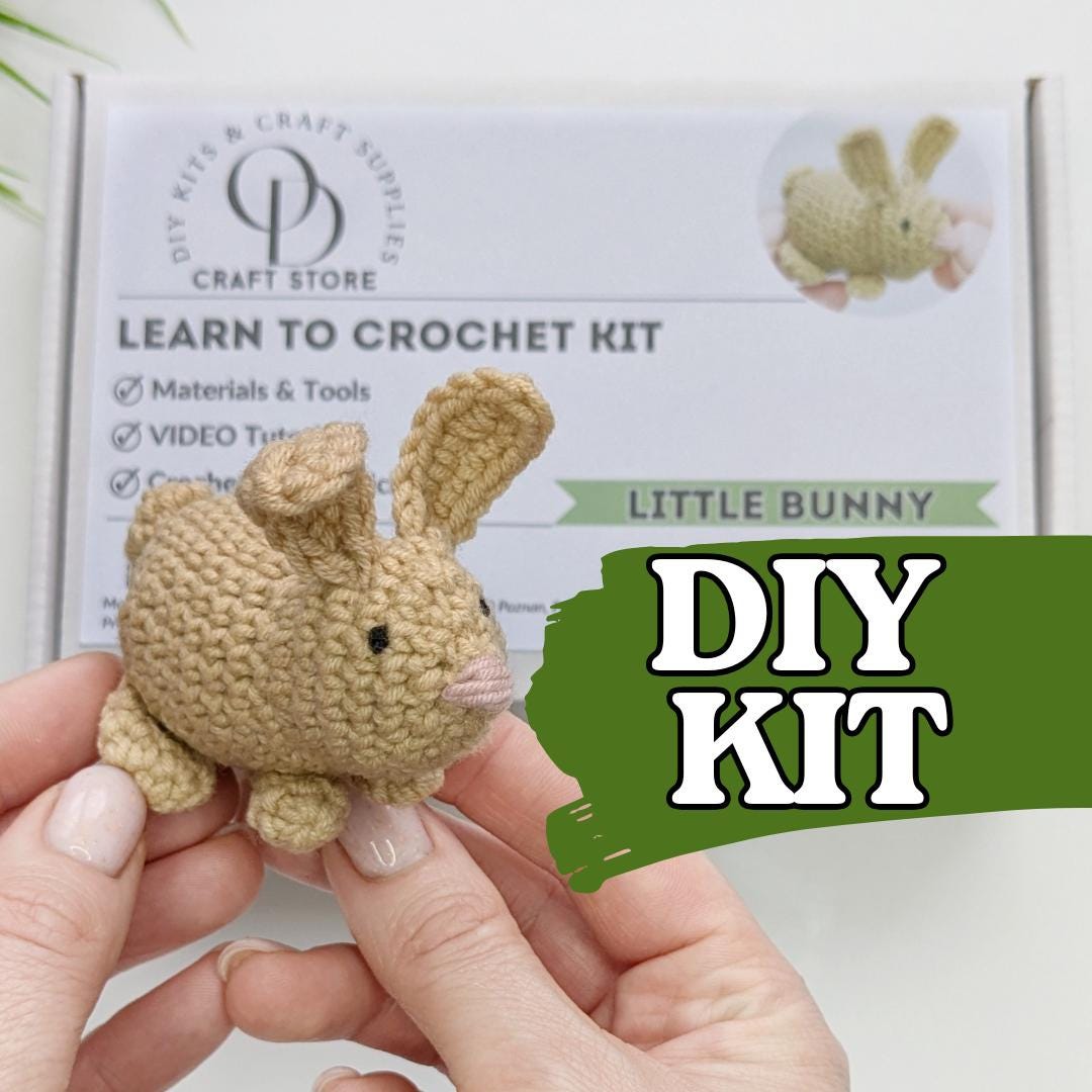 Crochet KIT for Beginners, DIY Amigurumi Bunny Craft Kit - Etsy